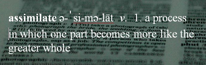 A Failure to Assimilate